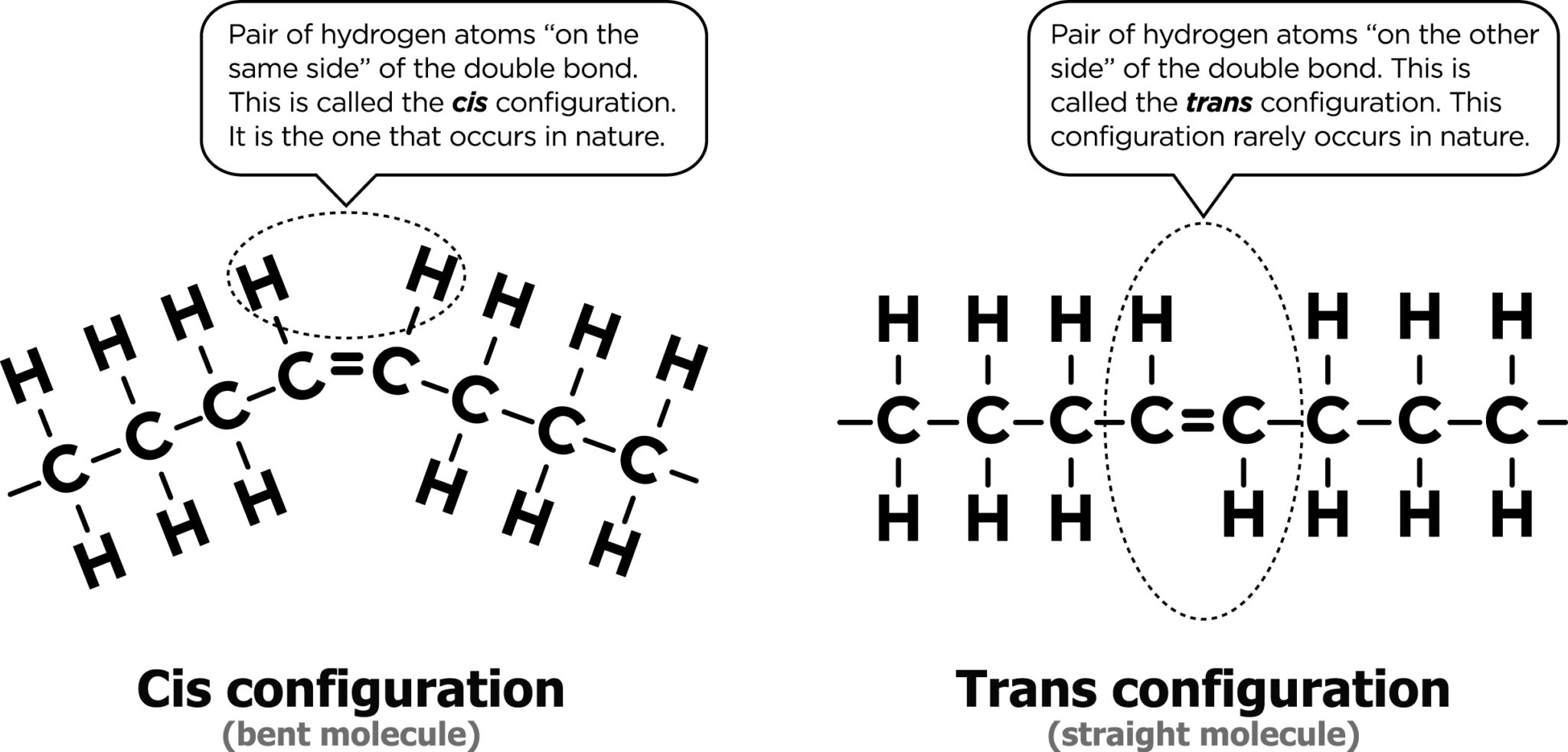 Mono and Diglycerides: Unmasking the Hidden Trans Fats in Your Food ...